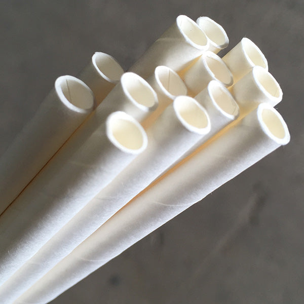 Colossal Paper Straws | Individually Wrapped | 100% Biodegradable | 10